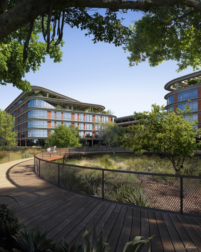 Visualizing Springdale Green | TMRW - TMRW