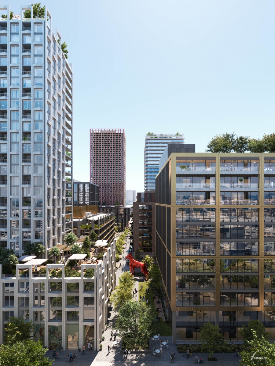 How to Choose the Right Camera View for Your Project - TMRW