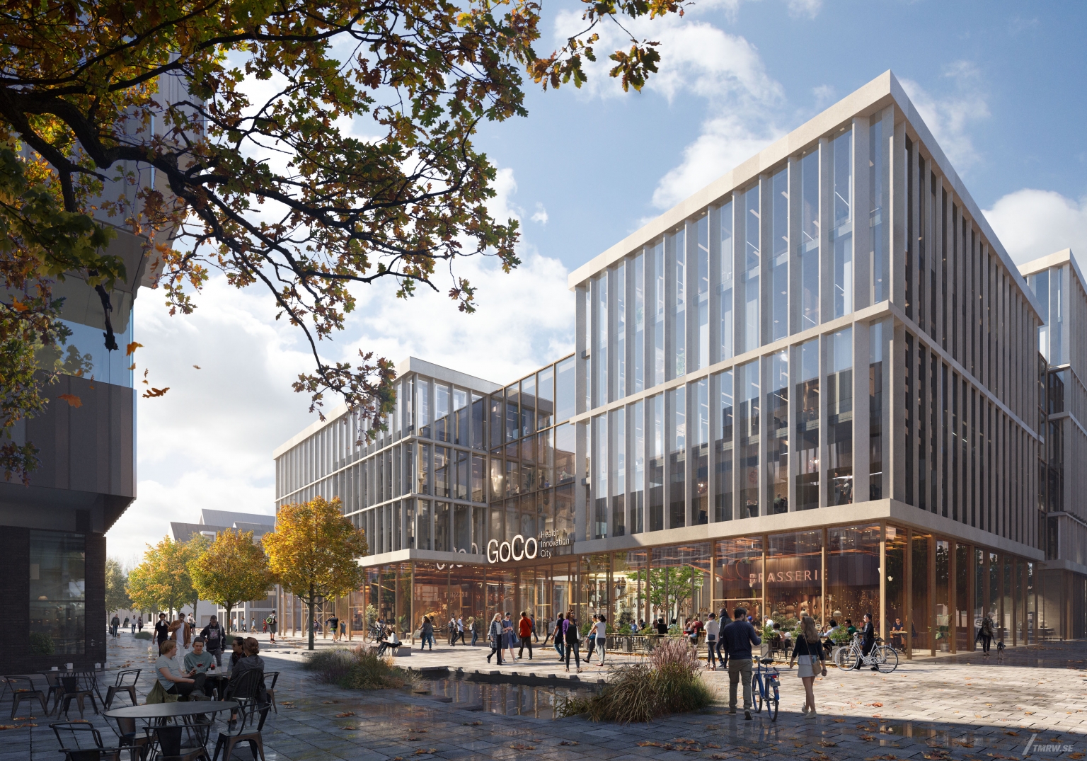 Kanozi – GoCo – TMRW